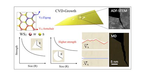 Anisotropic Fracture Dynamics Due To Local Lattice Distortions Acs Nano