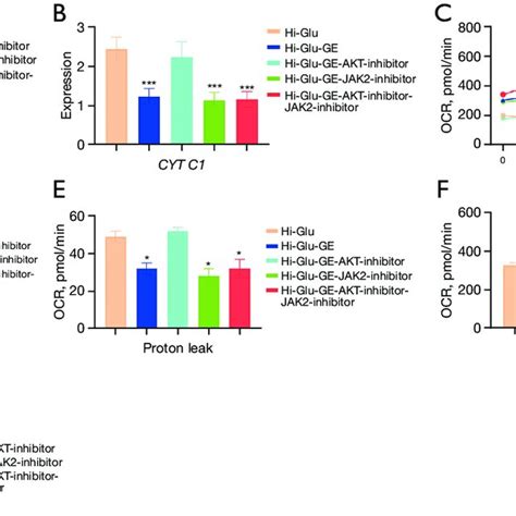 Ge Protects Mitochondrial Function In Rpe Cells Induced By High Download Scientific Diagram