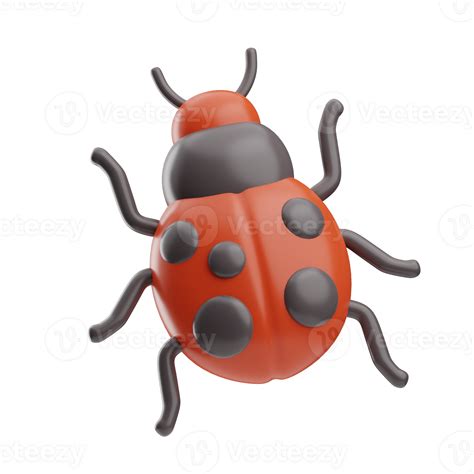 Season Time Object Ladybug 3d Illustration 35640593 Png
