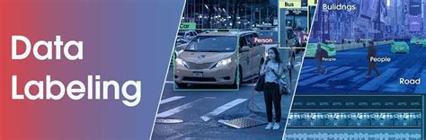 Data Labeling A Comprehensive Guide HackerNoon