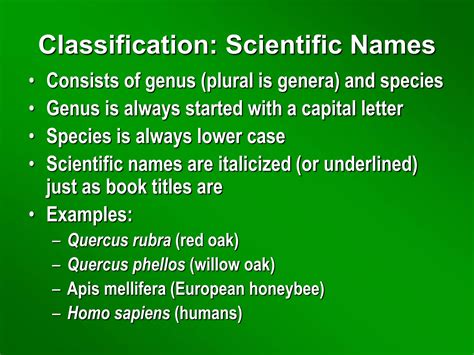 Levels Of Classification Pptx Biological Sciences Science Levels Of Classification Pptx Biological Sciences Science