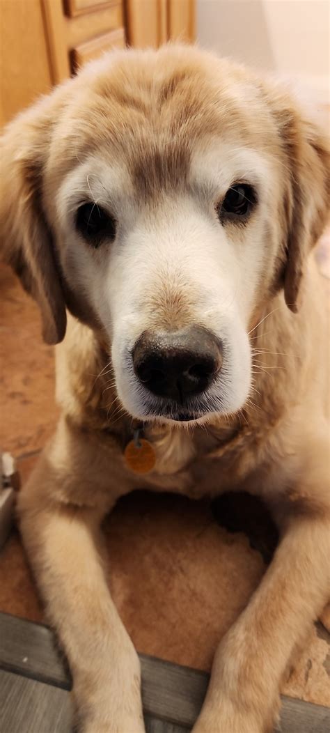 Alura Jenson Inc On Twitter Jamesbartee Nah He S Too Old He