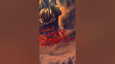 Malik Zaib Awan♥️ Youtube