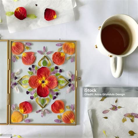 죽은 꽃 Diy 공예 프로젝트 꽃잎과 잎으로 만든 복잡한 만다라 디자인 손 자연에서 영감을 얻은 작품 골드 플로팅 프레임 현대