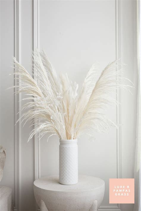 Luxe B Pampas Grass Artofit