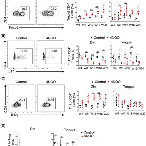Cd4⁺ And Cd8⁺ T‐cell Differentiation States Assessed By Cd44 And Cd62l Download Scientific
