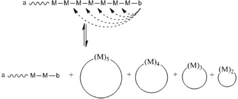 Schematic Illustration Of Ring Chain Equilibria In A Reversible Download Scientific Diagram