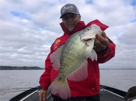 When Do Crappie Spawn Temperatures Times Locations Strike And Catch