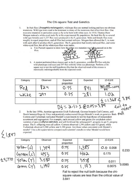 Chi Square Practice Pdf