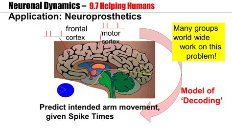 Biological Modeling Of Neural Networks Week 9 Coding And Decoding Wulfram Gerstner Epfl