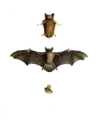 Letter K Erotic Alphabet Sex Frivolous Editorial Stock Photo Stock Image Shutterstock Editorial