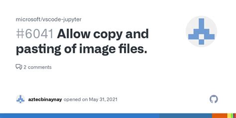 Allow Copy And Pasting Of Image Files · Issue 6041 · Microsoftvscode Jupyter · Github