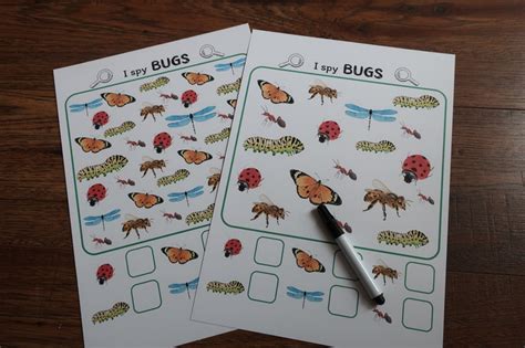 Printable I Spy Bugs Insect Activity Preschool Kindergarten Etsy