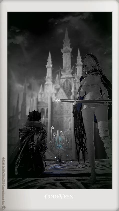 Did Codevien Do Well Financially Rcodevein