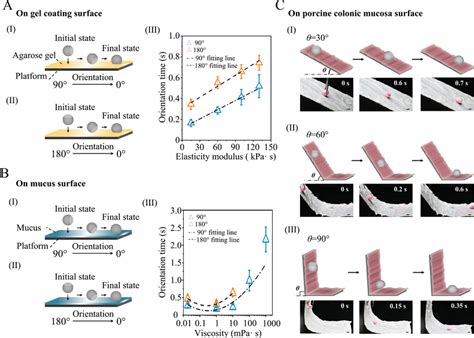 self‐orientation performance of the robots on various surfaces a the
