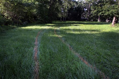 Investigation Sex Predators Unleashed