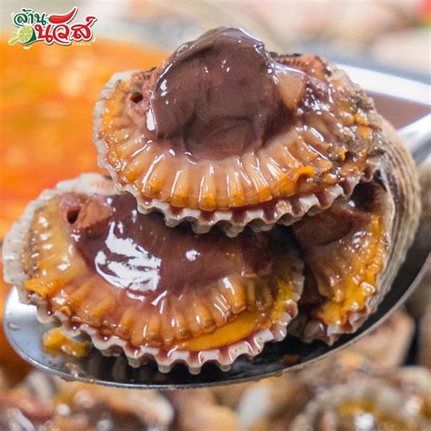 ล้านนัวส์ บุฟเฟ่ต์หอย คนละ 199 บาท กินไม่อั้น 5 หอย