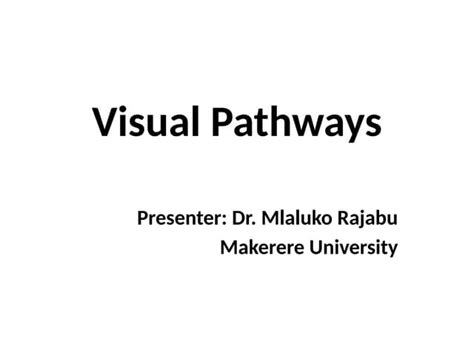 Comprehensive Visual Pathways Notes The Visual Pathways Is The Coordinated Path Where Nerve