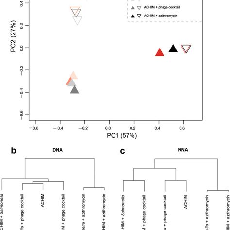 Principal Coordinate Analysis Pcoa And Hierarchical Clustering Based