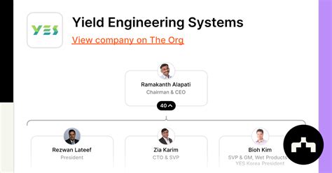 Yield Engineering Systems The Org