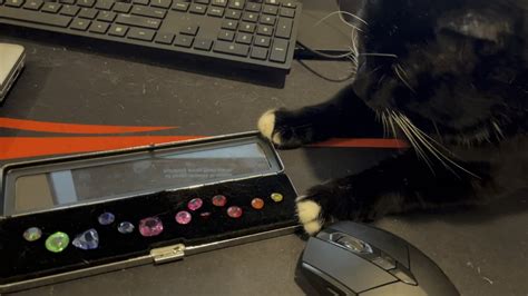 Kitty Has Good Taste Rgemstones