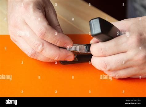 Installing Clamp Staples In A Stationery Stapler Stock Photo Alamy
