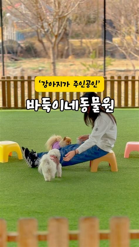 📍대전근교물멍하기 좋은 야외카페 모음 10곳 봄이 왔네요 봄이 왔어 대전출발 1시간이내 물멍하기 좋은 카페리스트 입니다 눈 깜짝하면 지나가버리는 봄날 놓치지