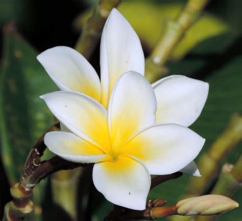 How To Format Your Manuscript Your Complete Guide