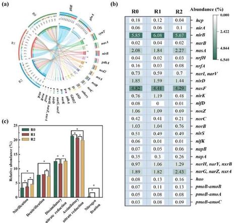 宏基因组测序：微生物研究的利器 知乎