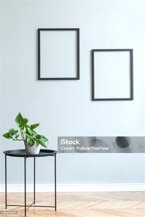 미니 멀리즘과 고급 회색 홈 인테리어와 검은 커피 테이블 식물과 모의 포스터 프레임 갈색 나무 마루 실제 사진 세련 된 홈 장식입니다 거실에 대한 스톡 사진 및 기타 이미지