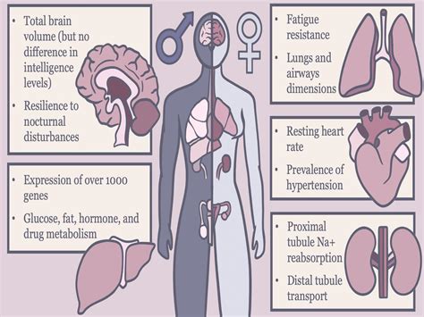 Videos Anita T Layton University Of Waterloo