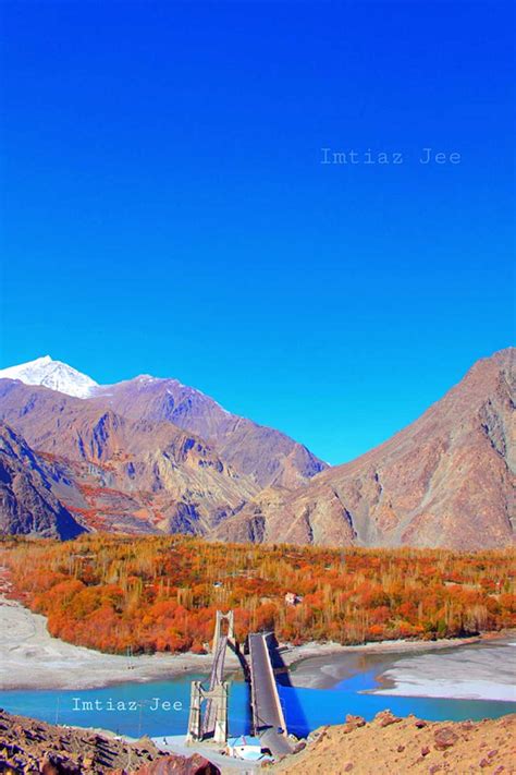 Muhammad Imtiaz Insearchpk