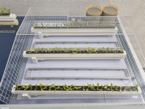 전시 모형 다만드러