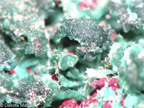 Malachite Mineral Specimen For Sale