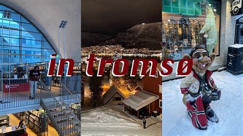 🇳🇴 자체 공강하고 오로라 보러 떠난 Vlog 프랑스 교환학생 브이로그 3 웰컴 파티 셀린느 선글라스 디올 하이라이터 오로라투어 노르웨이의 겨울