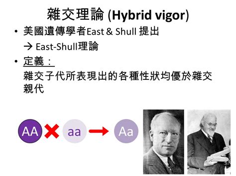 辨別子代為同型合子或異型合子 Homozygote heterozygote PCR 指導教授傅士峯老師 助教呂學宇張凱雅 值日組