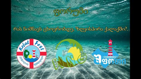 შავი ზღვის დაცვის დღე ფორუმი რას ნიშნავს ცხოვრება ზღვისპირა ქალაქში