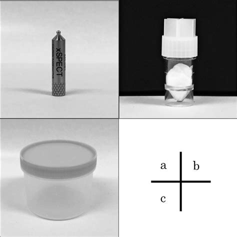 Figure 1 From Validation Of Cross Calibration Schemes For Quantitative
