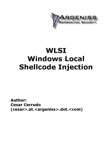 Windows Local Shellcode Injection Wlsi Pdf String Computer Science Digital Technology