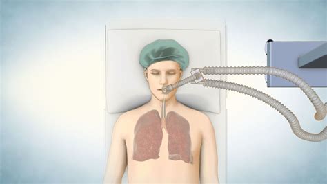 Lung Transplant Education Career Education