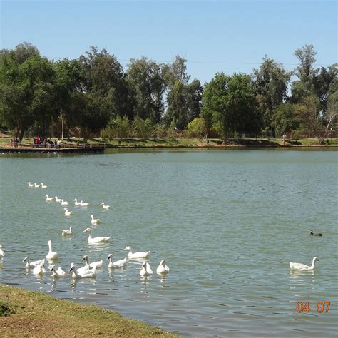 La Laguna Del Nainari Ciudad Obregón Qué Saber Antes De Ir