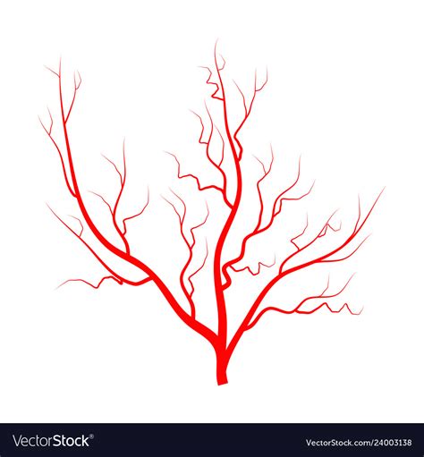 Eye Vein Symbol Icon Design Royalty Free Vector Image