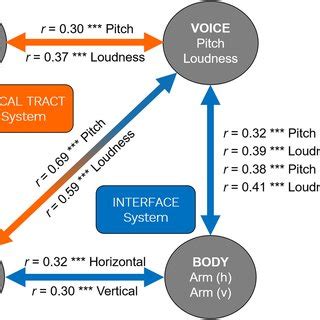 A Summary Of The Major Cross Modal Correlations The Figure Shows The Download Scientific