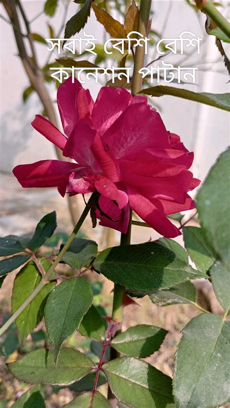 Abdul Mozid On Linkedin Letsconnect 35 Comments