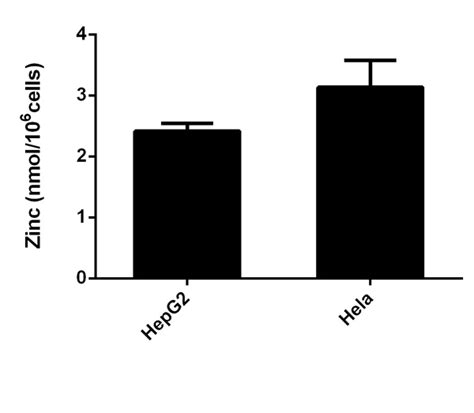 Zinc Assay Kit Ab102507 Abcam