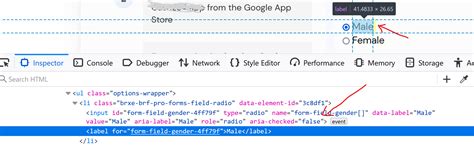 Pro Forms Radio Button Bug Reports Bricksforge Community Forum