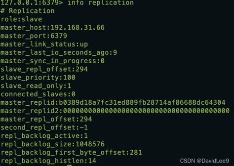 Redis主从复制哨兵模式自动切换 源码巴士