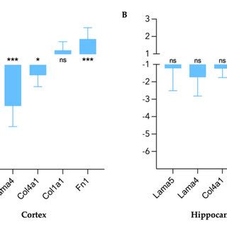 Sex Differences In Gene Expression Of ECM Components In Healthy Download Scientific Diagram