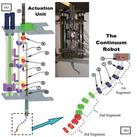 A 75 Mm Continuum Robot With Three Segments 5 Download Scientific