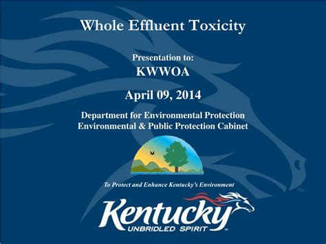 PPT Whole Effluent Toxicity PowerPoint Presentation Free Download ID 1622534